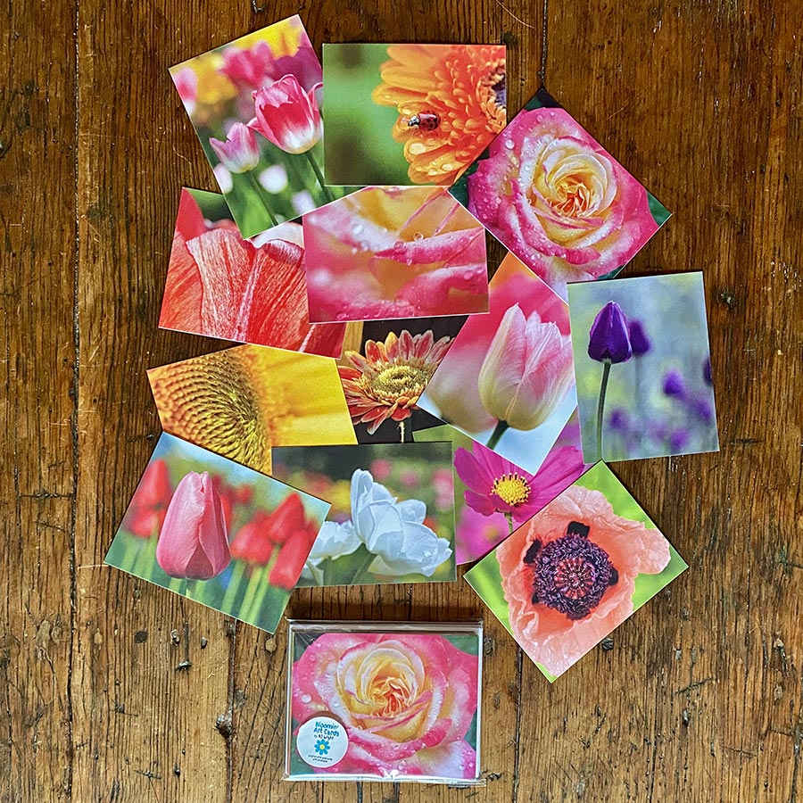 Bloomin' Art Cards • NJ Wight Original Flower Photo Postcards